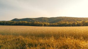 Haiger | Hessen-Tourist
