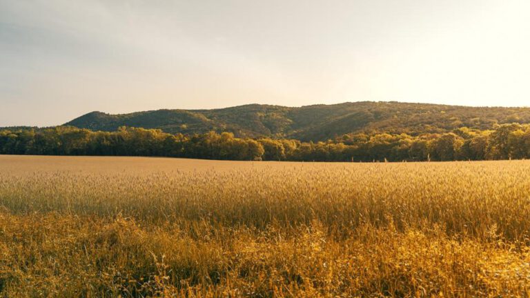 Haiger | Hessen-Tourist